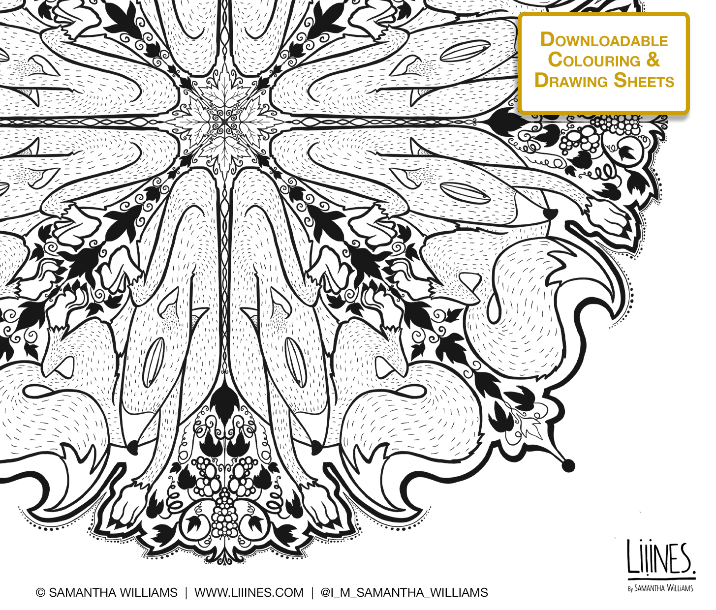 The Fox & the Grapes - Downloadable colouring & drawing sheets – Liiines